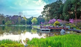 Guiyang Travel Guide: Things to do, Travel Ideas, Guiyang Tours